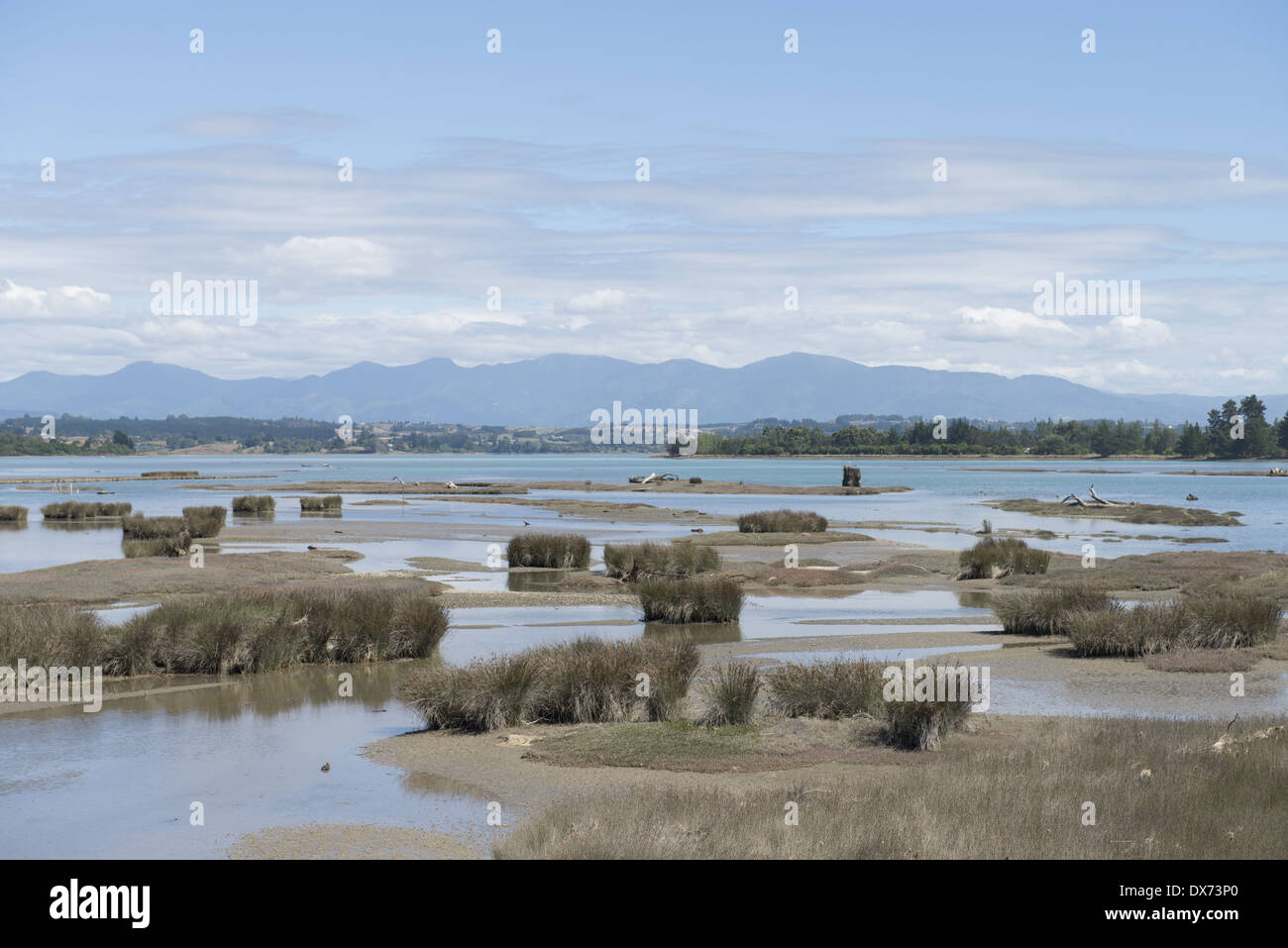 Rabbit Island, 20km west of Nelson, is largest of a group of islands ...