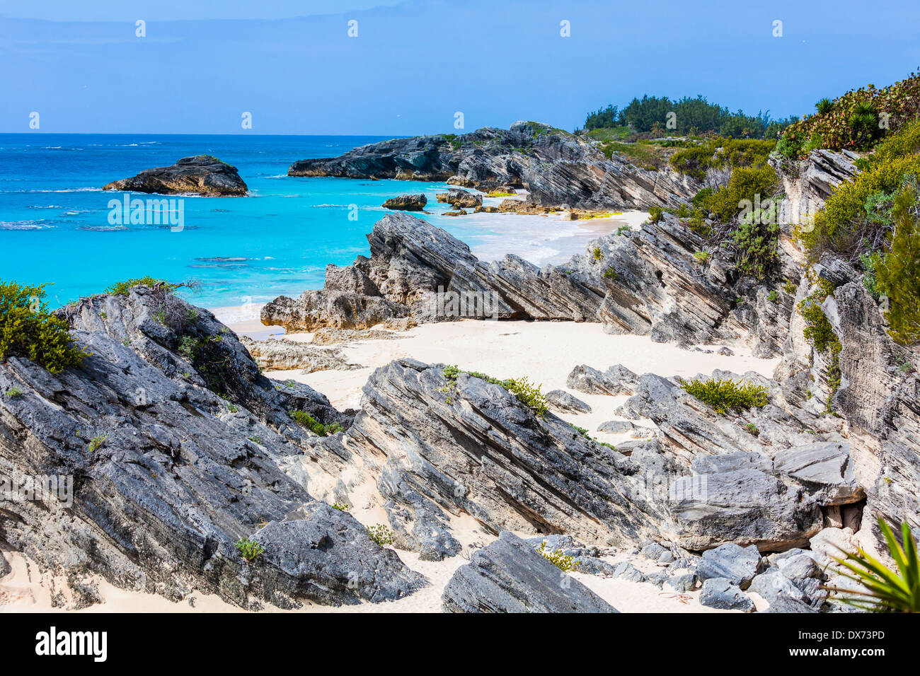 View of an secluded beach on the south shore of Bermuda Stock Photo - Alamy