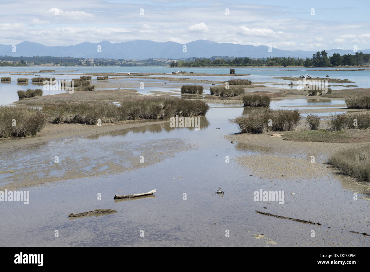 Rabbit Island, 20km west of Nelson, is largest of a group of islands ...