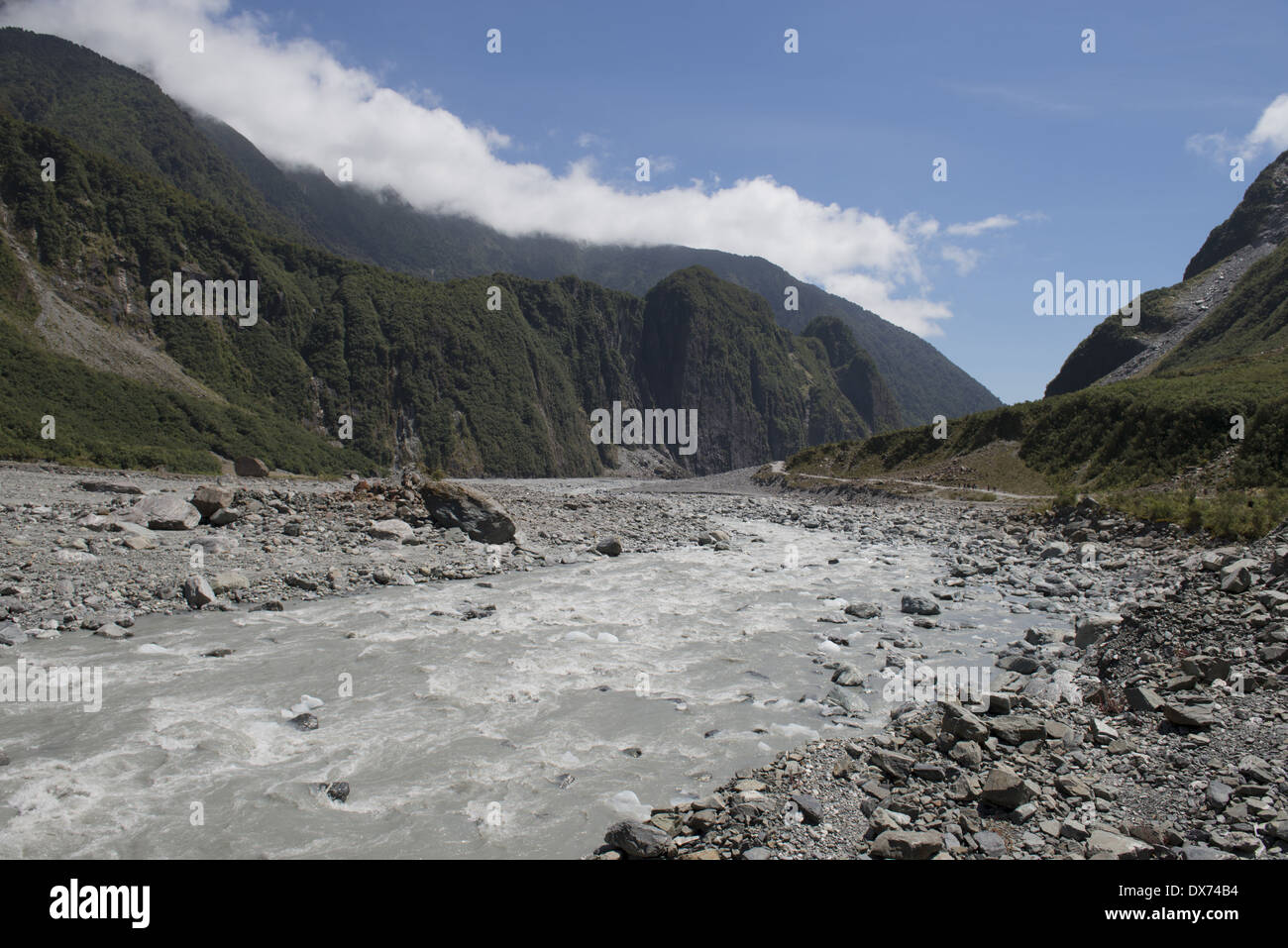 The Fox Glacier valley walk. View looking downstream Stock Photo - Alamy