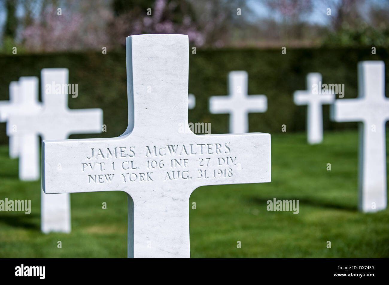 Crosses at Flanders Field American Cemetery and Memorial at Waregem ...