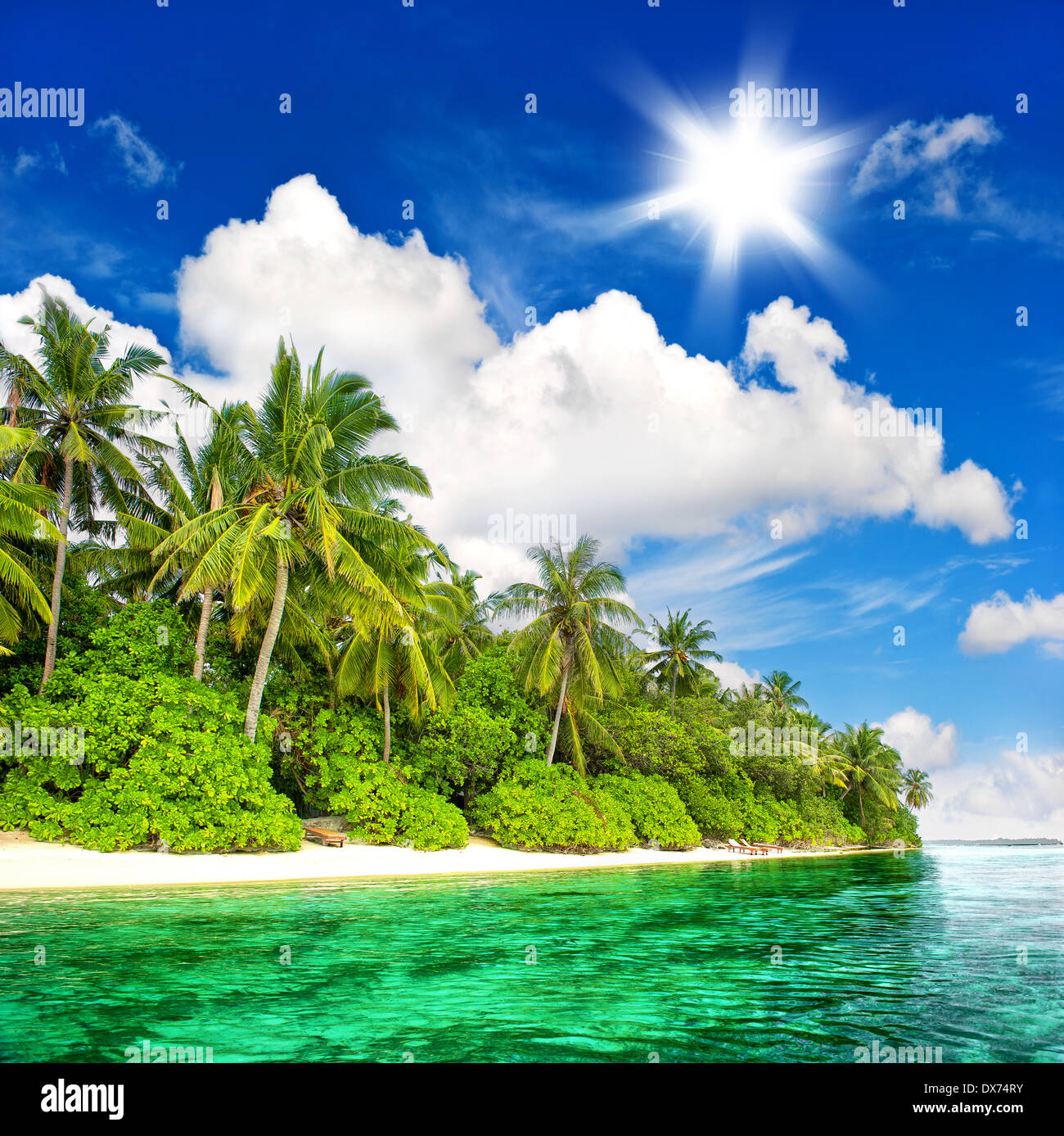 Tropical Island Background