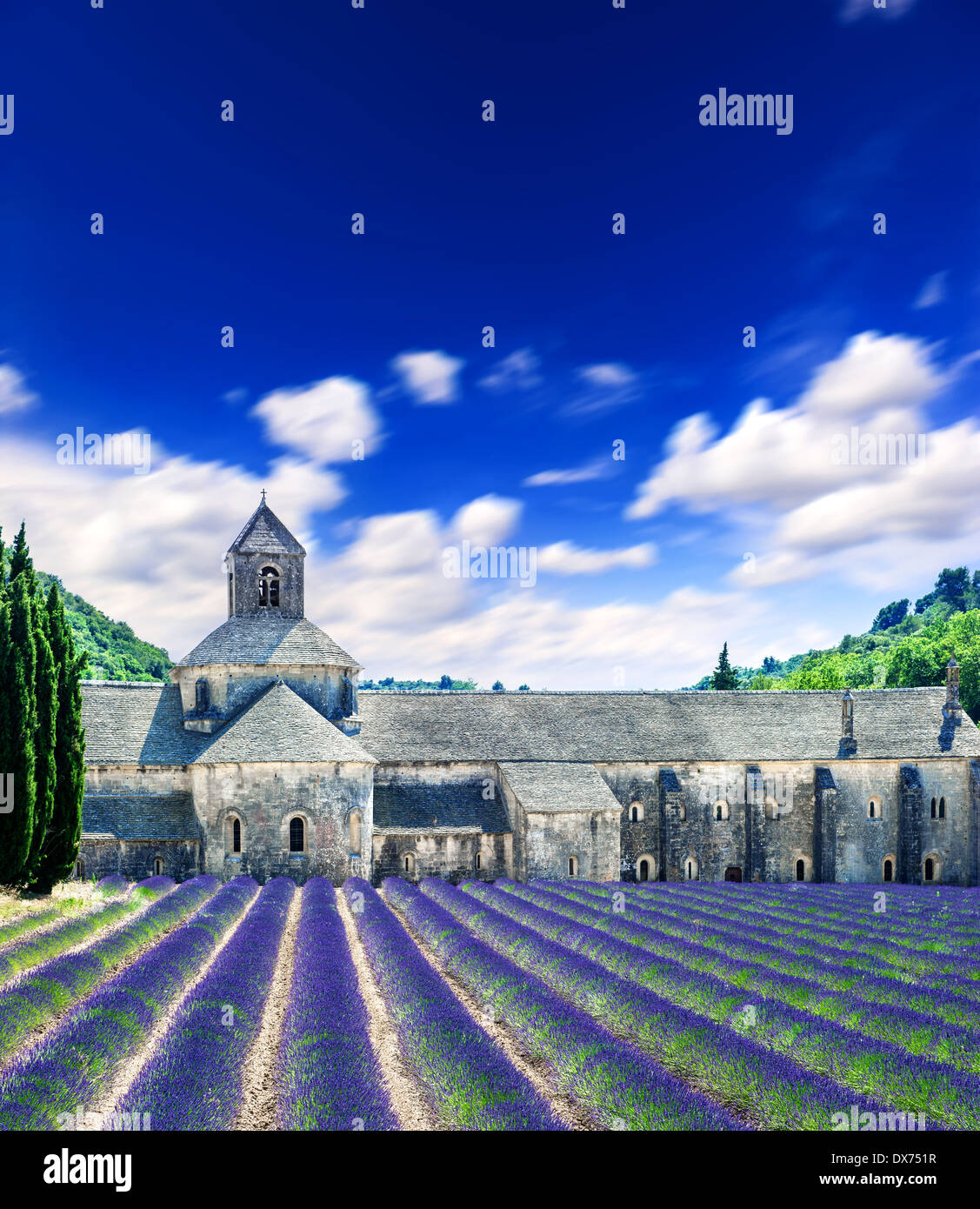 Senanque abbey with lavender field, landmark of Provence, France ...