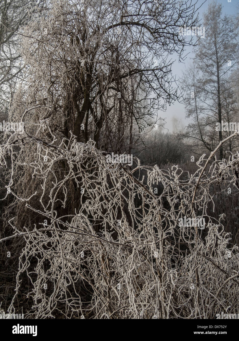 Contrast mist hi-res stock photography and images - Alamy