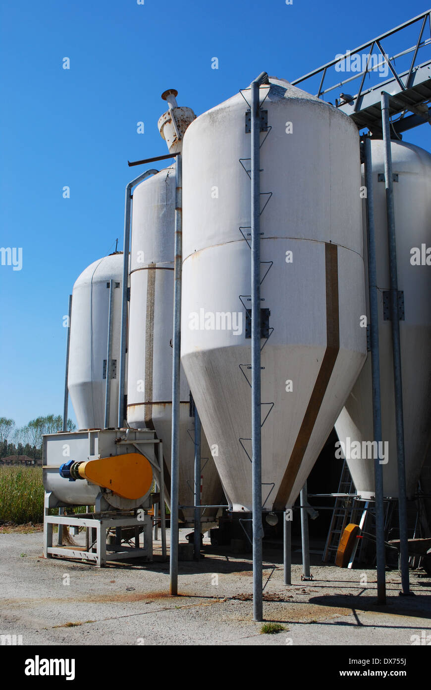Group of small silos for storing grain in a farm Stock Photo - Alamy