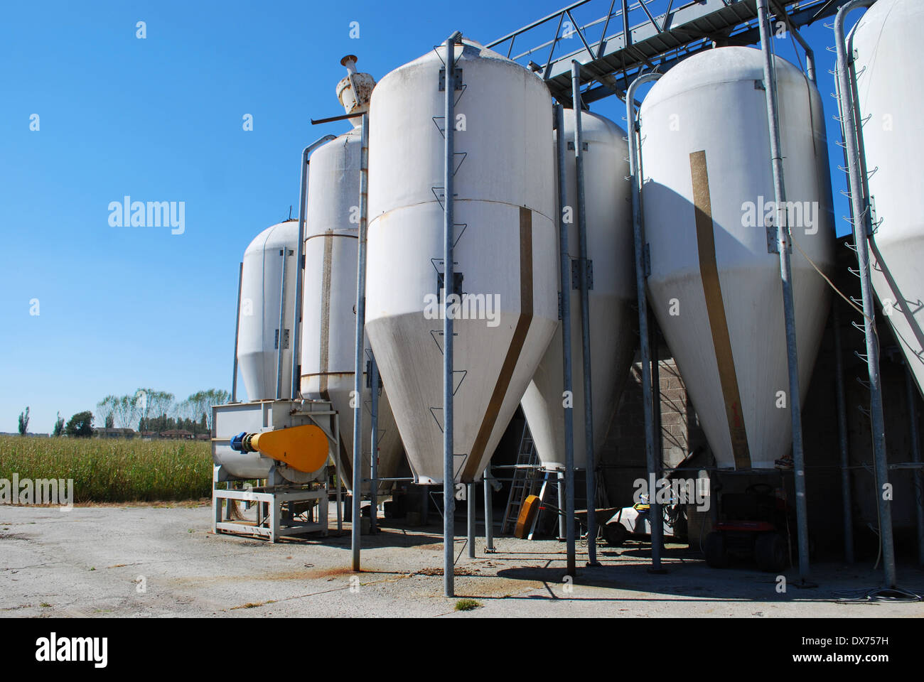 Group of small silos for storing grain in a farm Stock Photo - Alamy