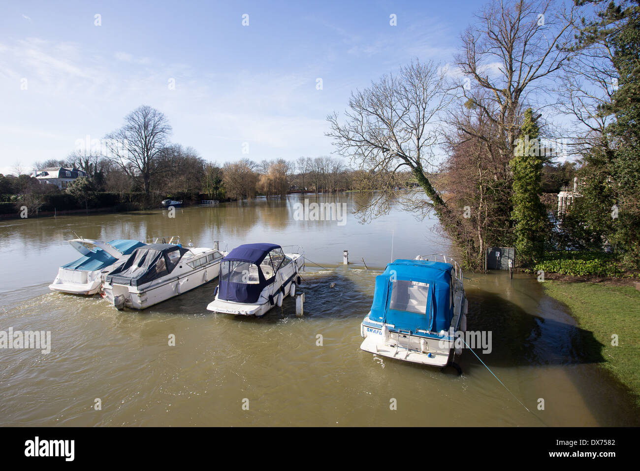 Winter flooding River Thames Stock Photo - Alamy