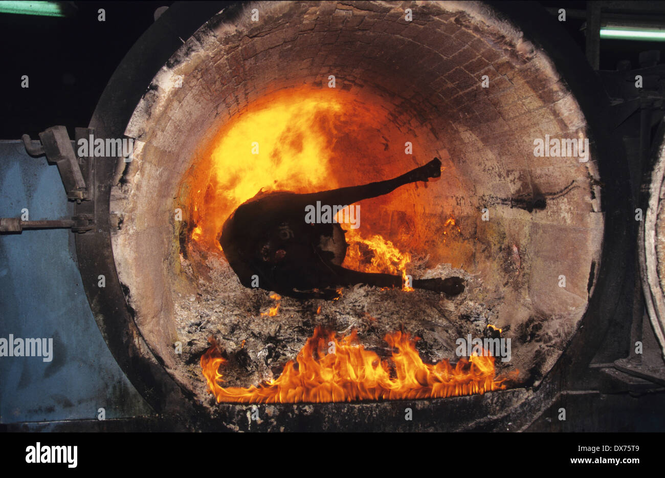 Incineration of cow carcass with suspected BSE, Mad Cow disease ...