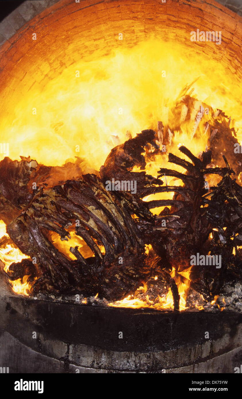 Incineration of cow carcass with suspected BSE, Mad Cow disease ...