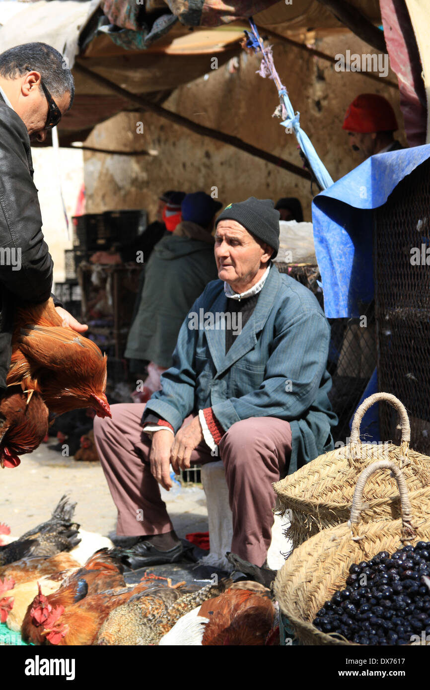 Moroccan man selling chickens on a stall in Fes, Morocco Stock Photo ...