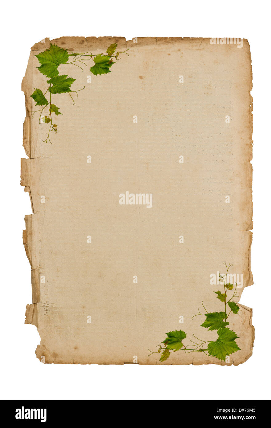 Old border paper leaves hi-res stock photography and images - Alamy