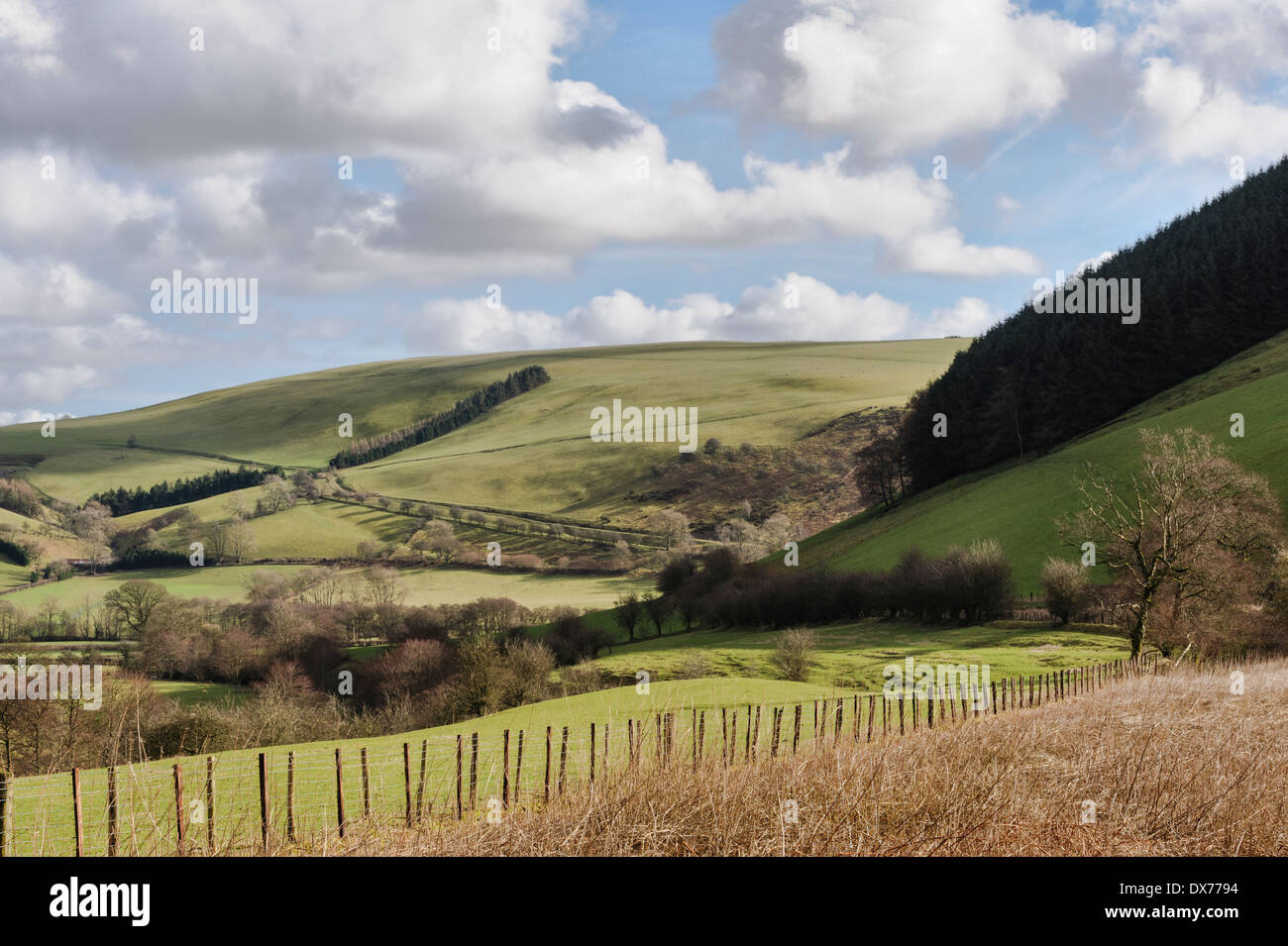 Radnor Hills High Resolution Stock Photography and Images - Alamy