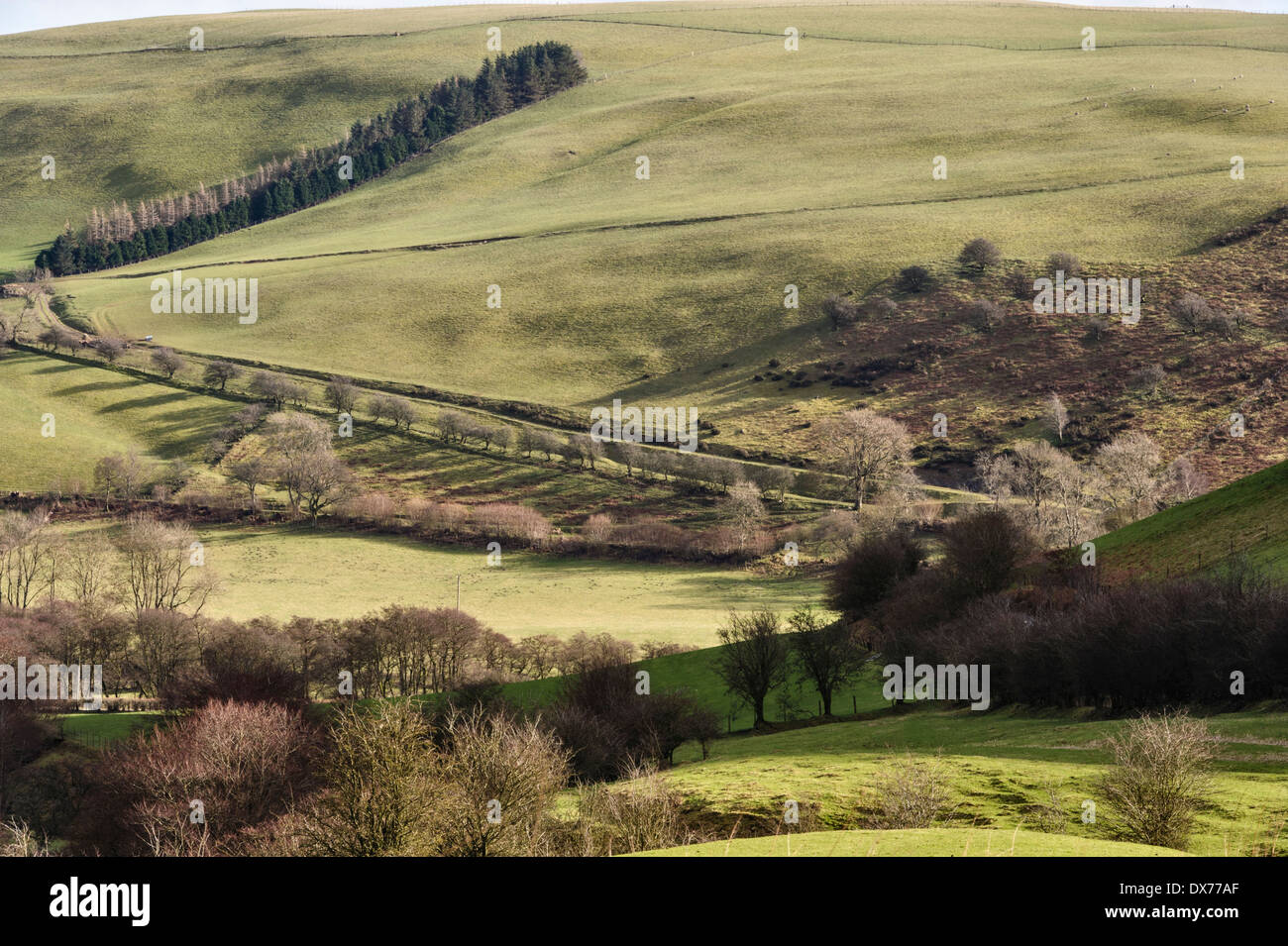 The countryside near New Radnor, Powys, UK Stock Photo - Alamy