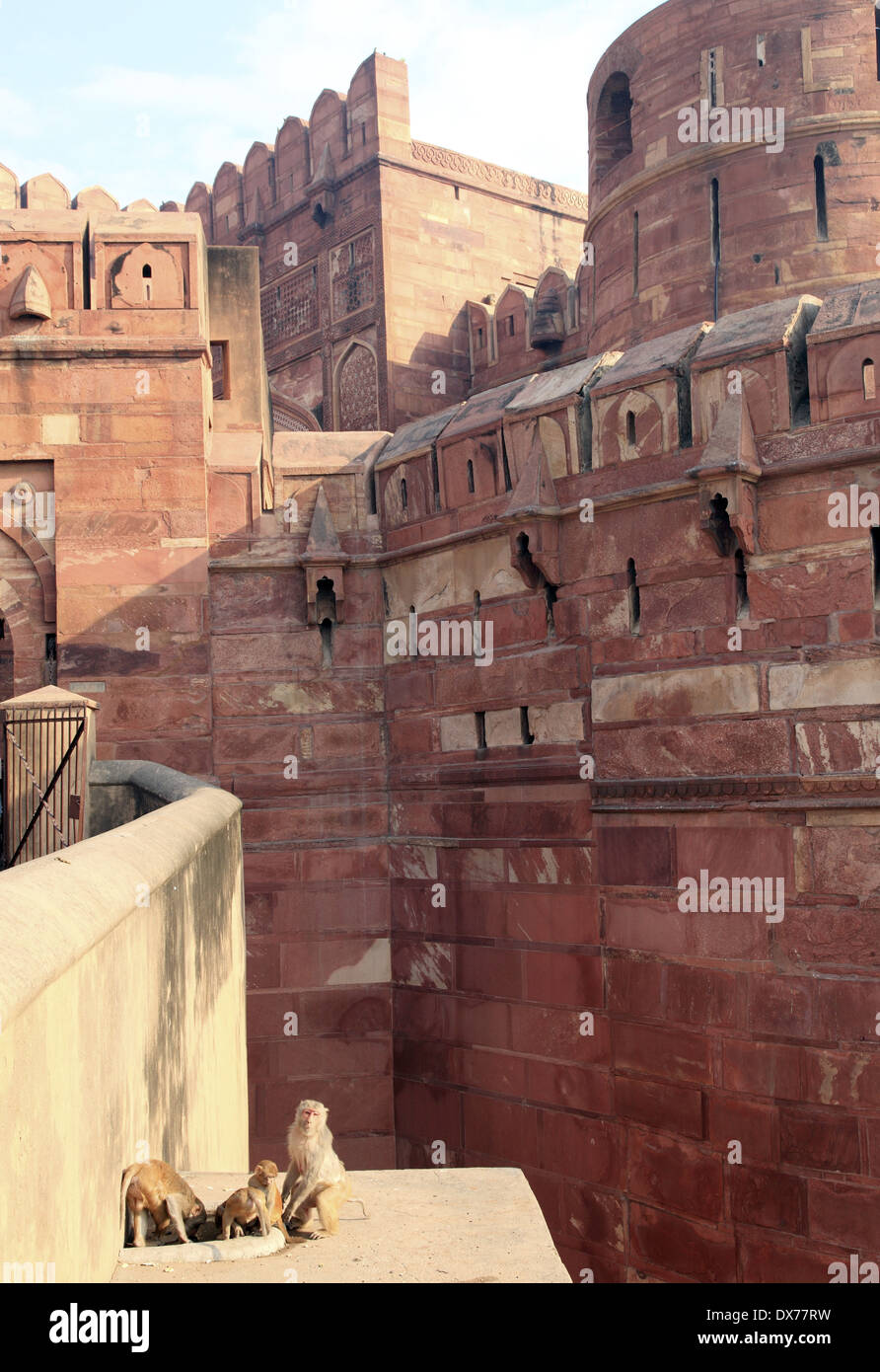 India. Agra. The Red Fort Stock Photo - Alamy