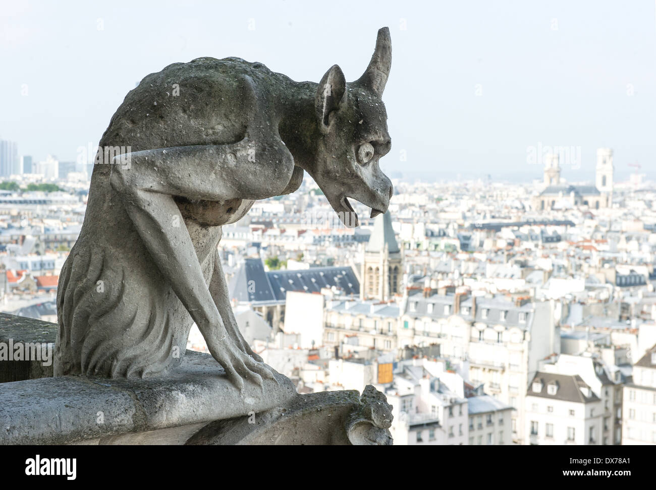 Notre dame devil hi-res stock photography and images - Alamy