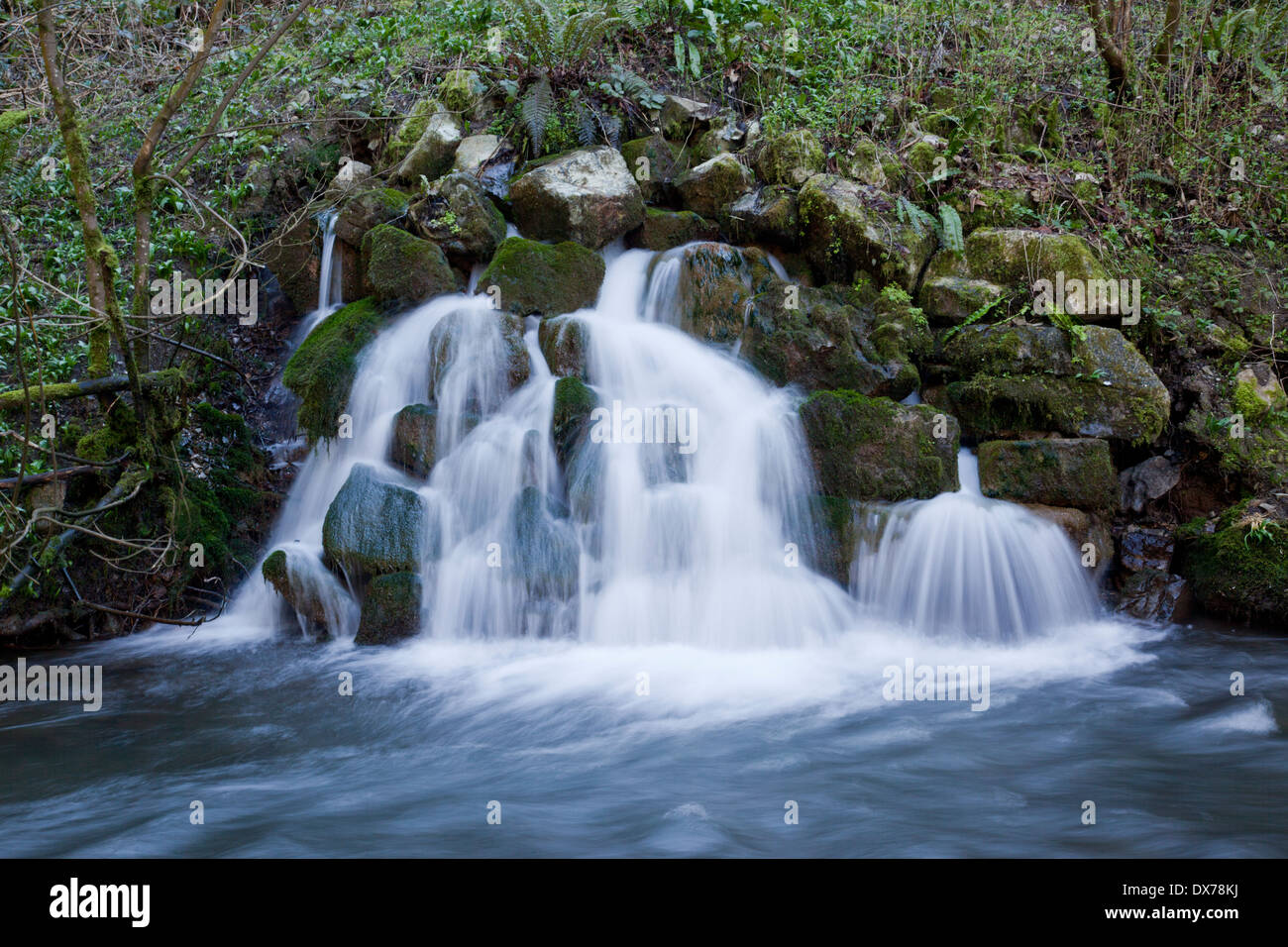 Waterfall at the Old Fussells Iron Works, Mells, Somerset, England, UK ...