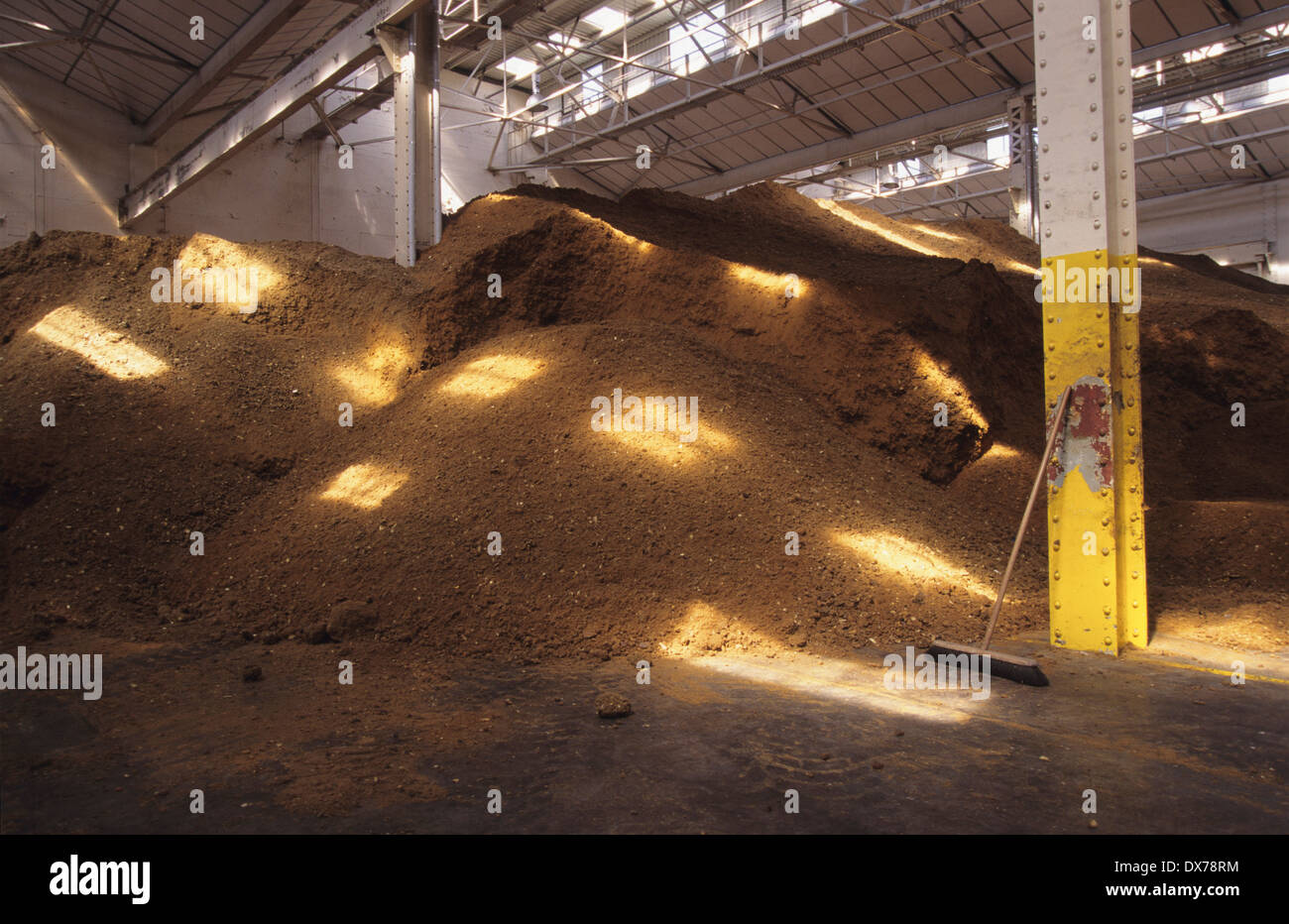 Mad Cow disease, burnt remains of suspected BSE infected cattle ...