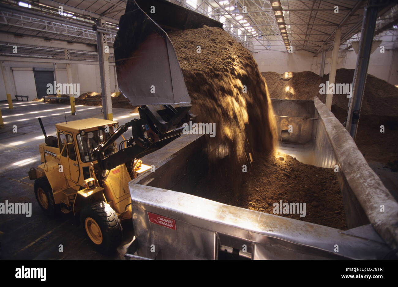Mad Cow disease, burnt remains of suspected BSE infected cattle ...