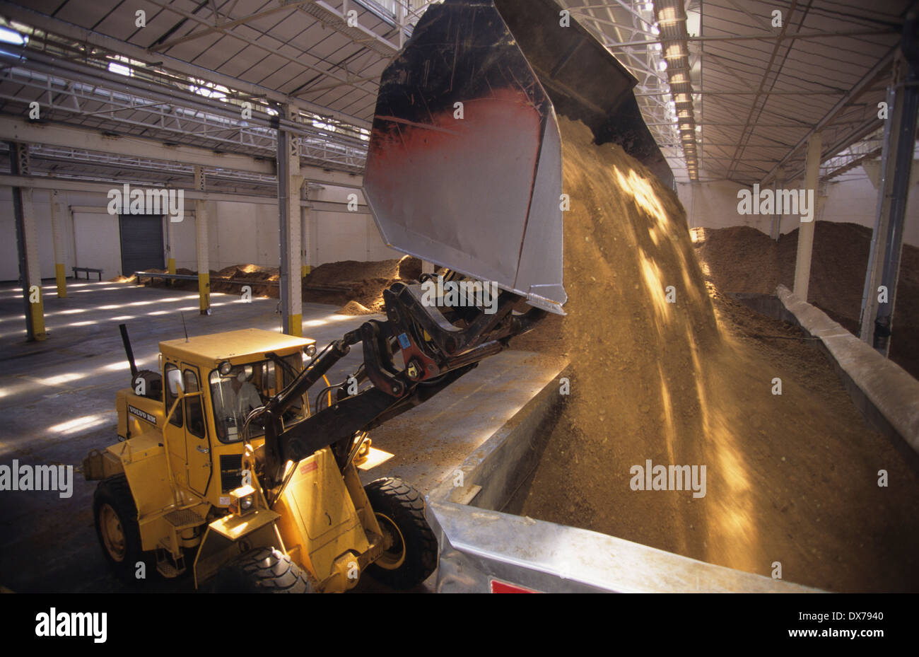 Mad Cow disease, burnt remains of suspected BSE infected cattle ...