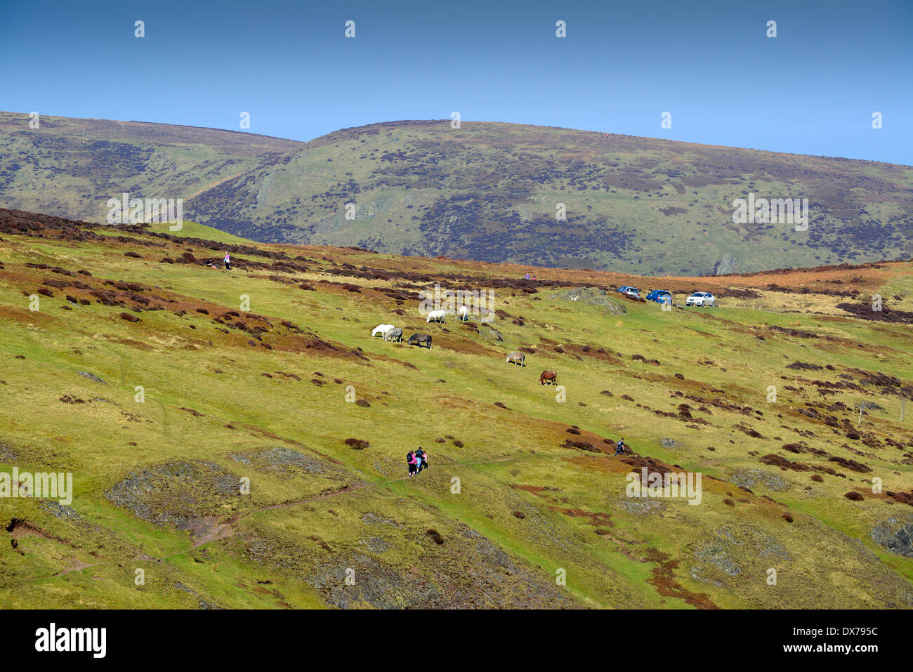 Long Mynd Shropshire Hills England Uk Stock Photo - Alamy