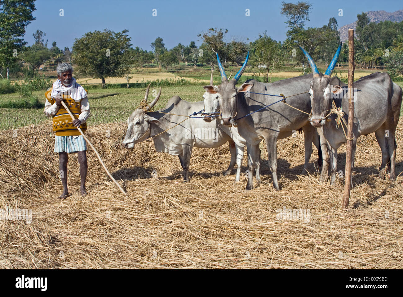 India Poor Man High Resolution Stock Photography and Images - Alamy