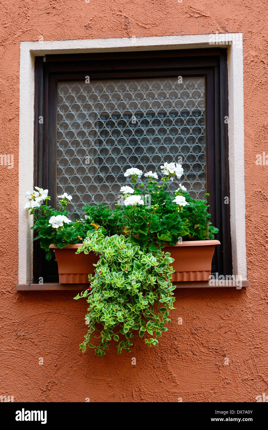 Windows Flower Boxes Wertheim Germany DE Europe Stock Photo - Alamy