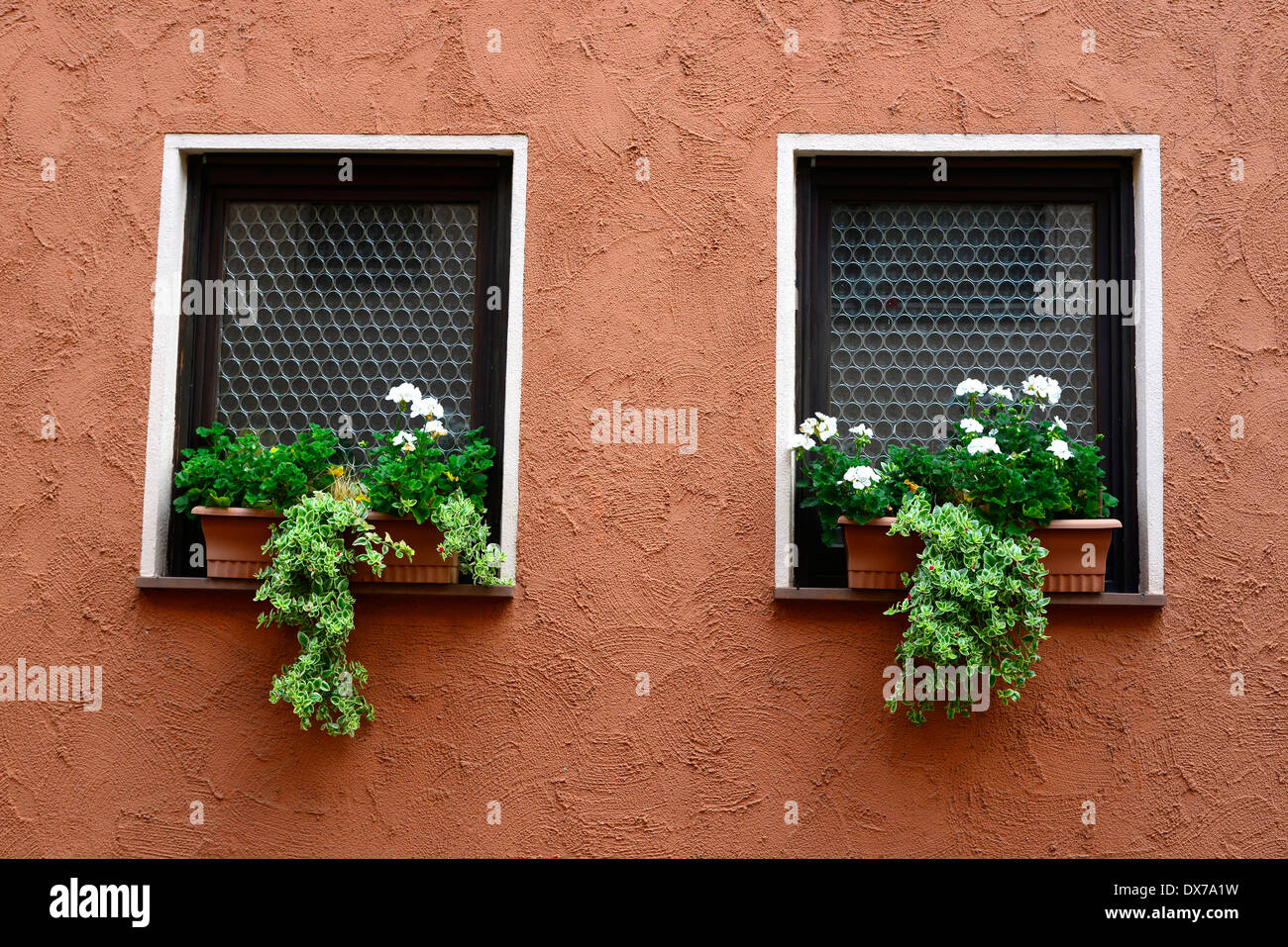 Windows Flower Boxes Wertheim Germany DE Europe Stock Photo - Alamy