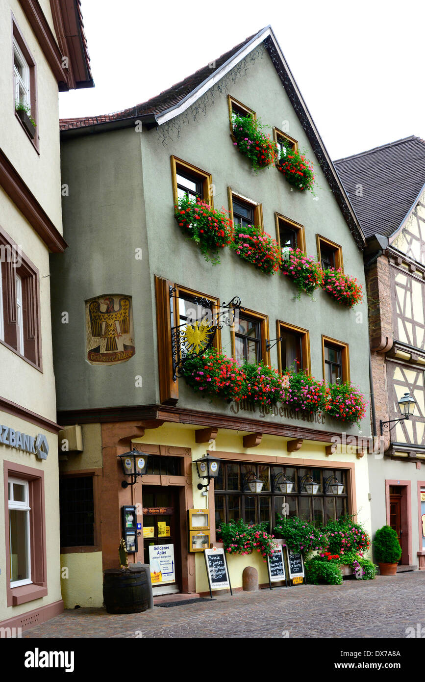 Wertheim Germany Store DE Baden-Wurttemberg Medieval Wine Castle Tauber ...