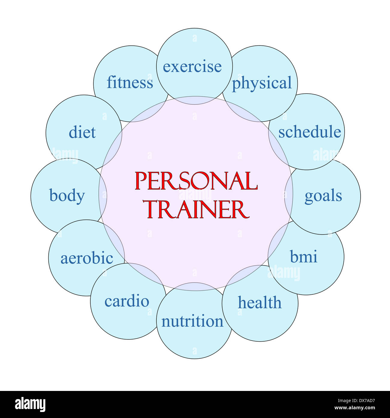Personal Trainer concept circular diagram in pink and blue with great ...