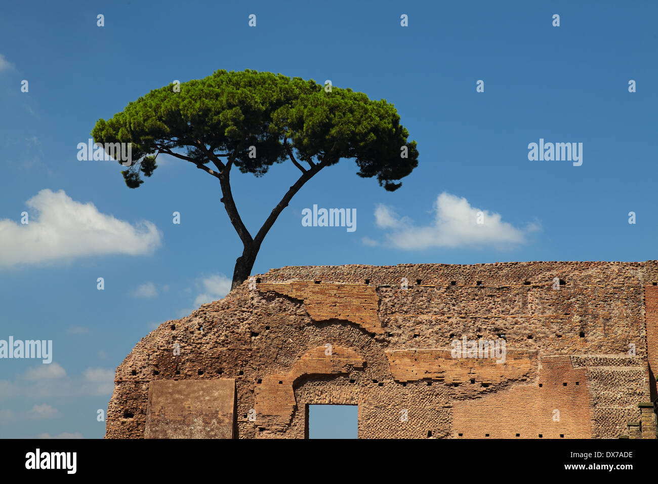 Empire europe hi-res stock photography and images - Alamy