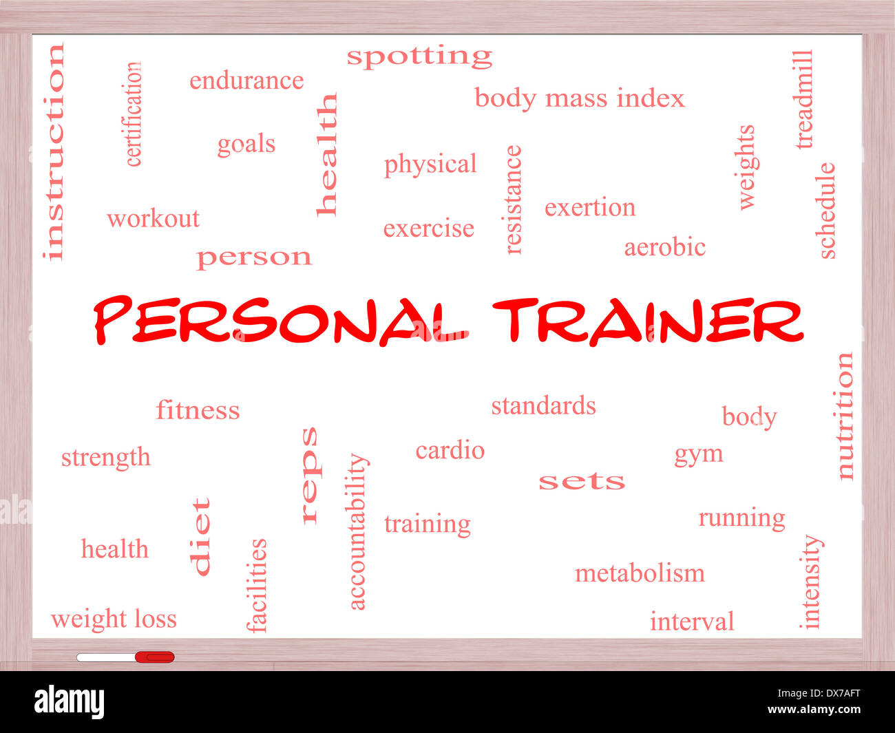 Personal Trainer Word Cloud Concept on a Whiteboard with great terms ...