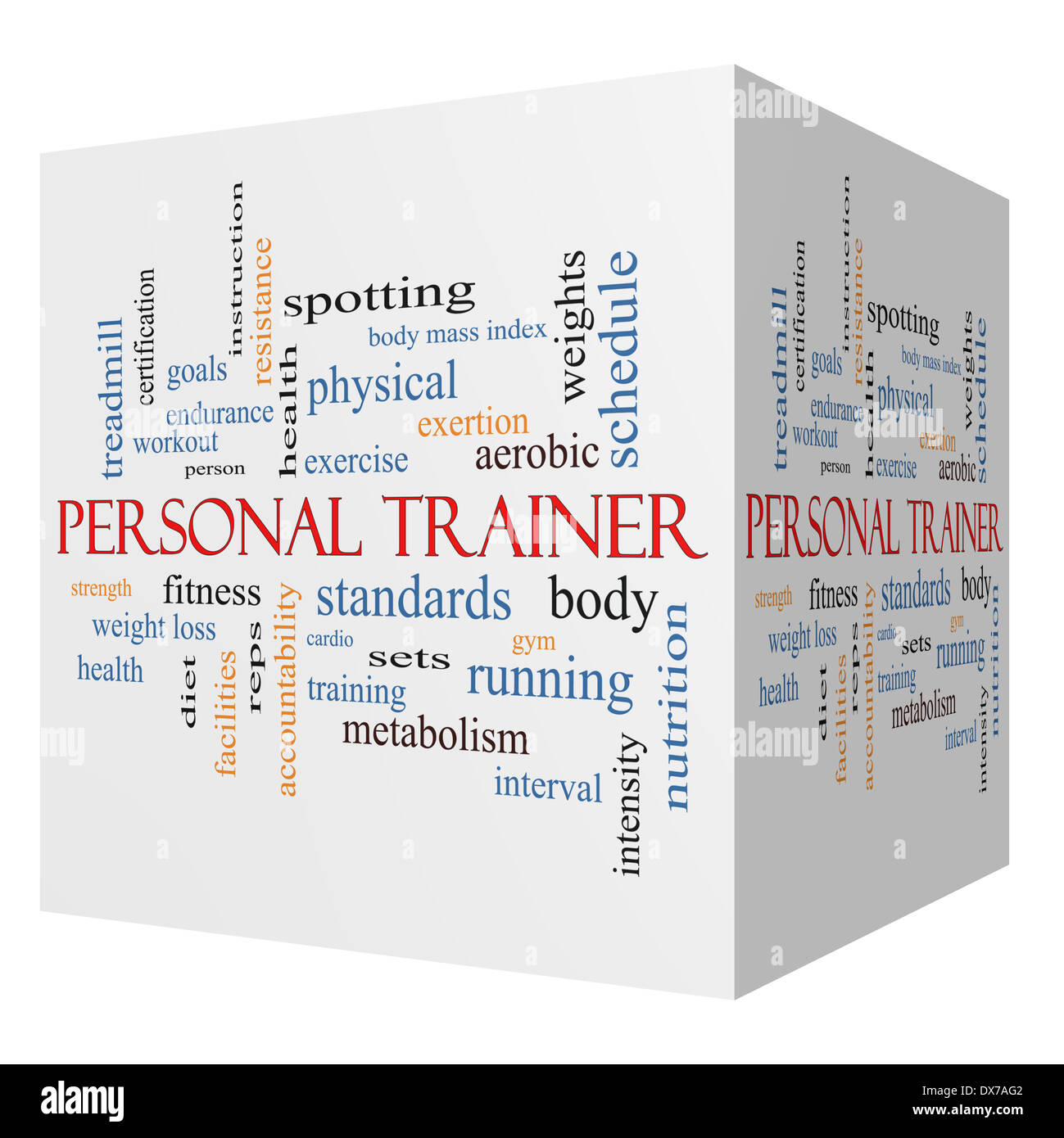 Personal Trainer 3D cube Word Cloud Concept with great terms such as ...