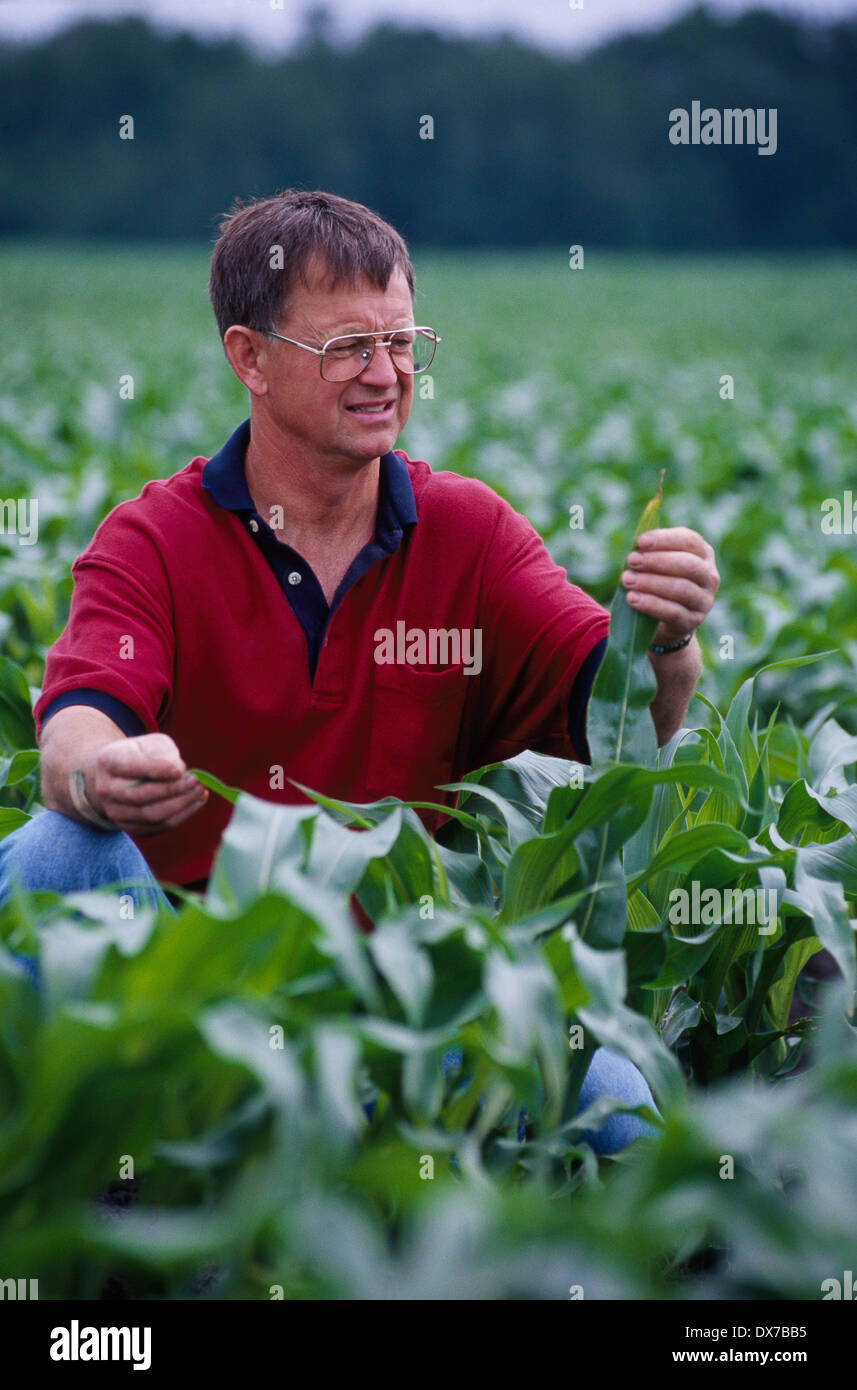 Farmer wisconsin hi-res stock photography and images - Alamy
