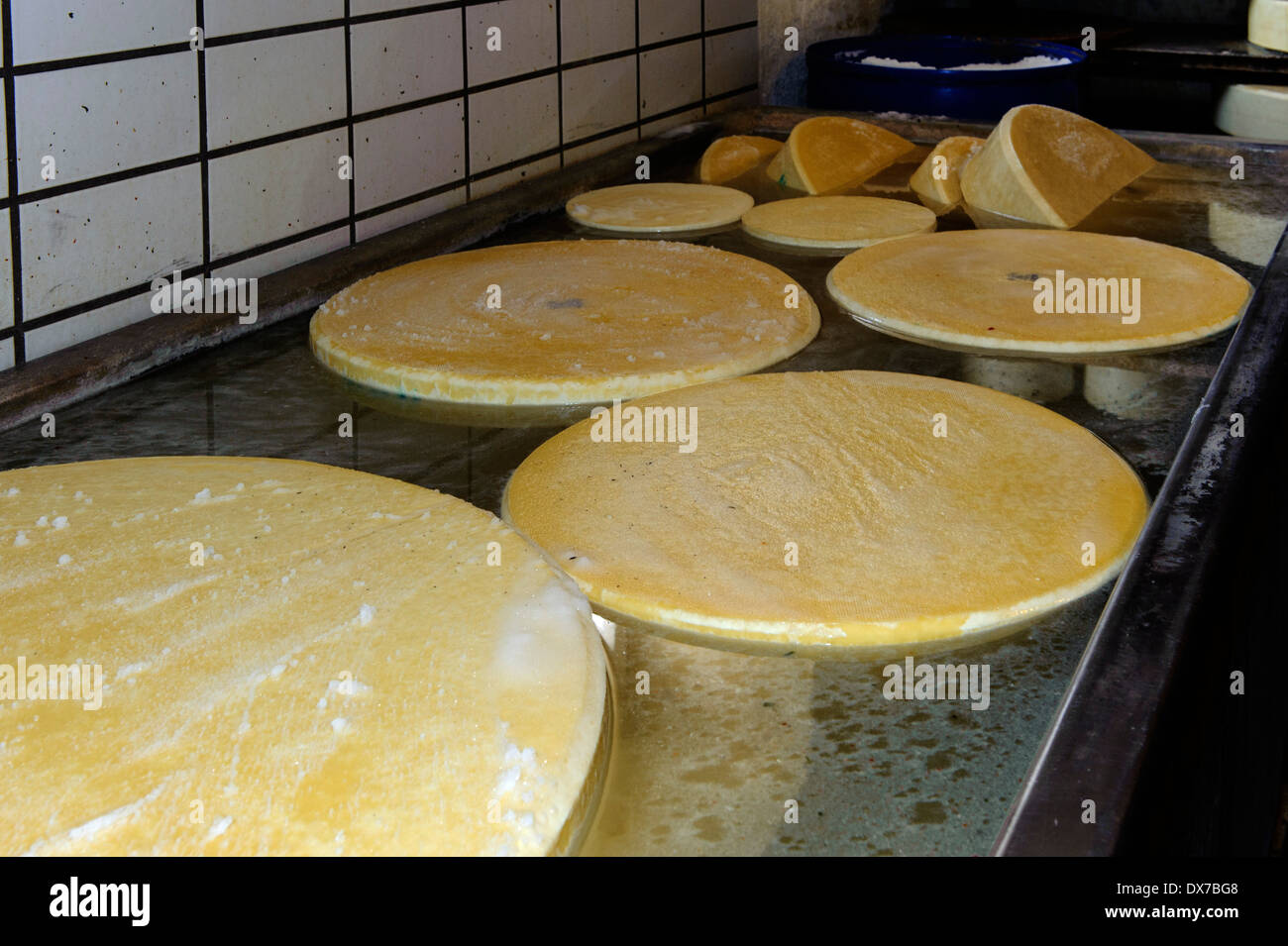 alpine dairy with Emmental cheese in Ofterschwang-Hüttenberg, Allgäu ...