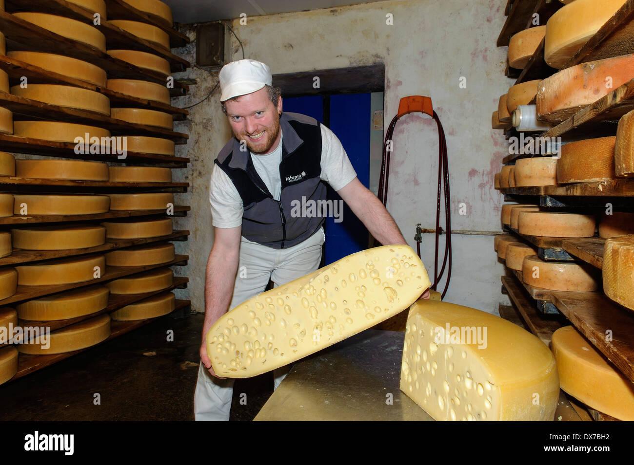 alpine dairy with Emmental cheese in Ofterschwang-Hüttenberg, Allgäu ...