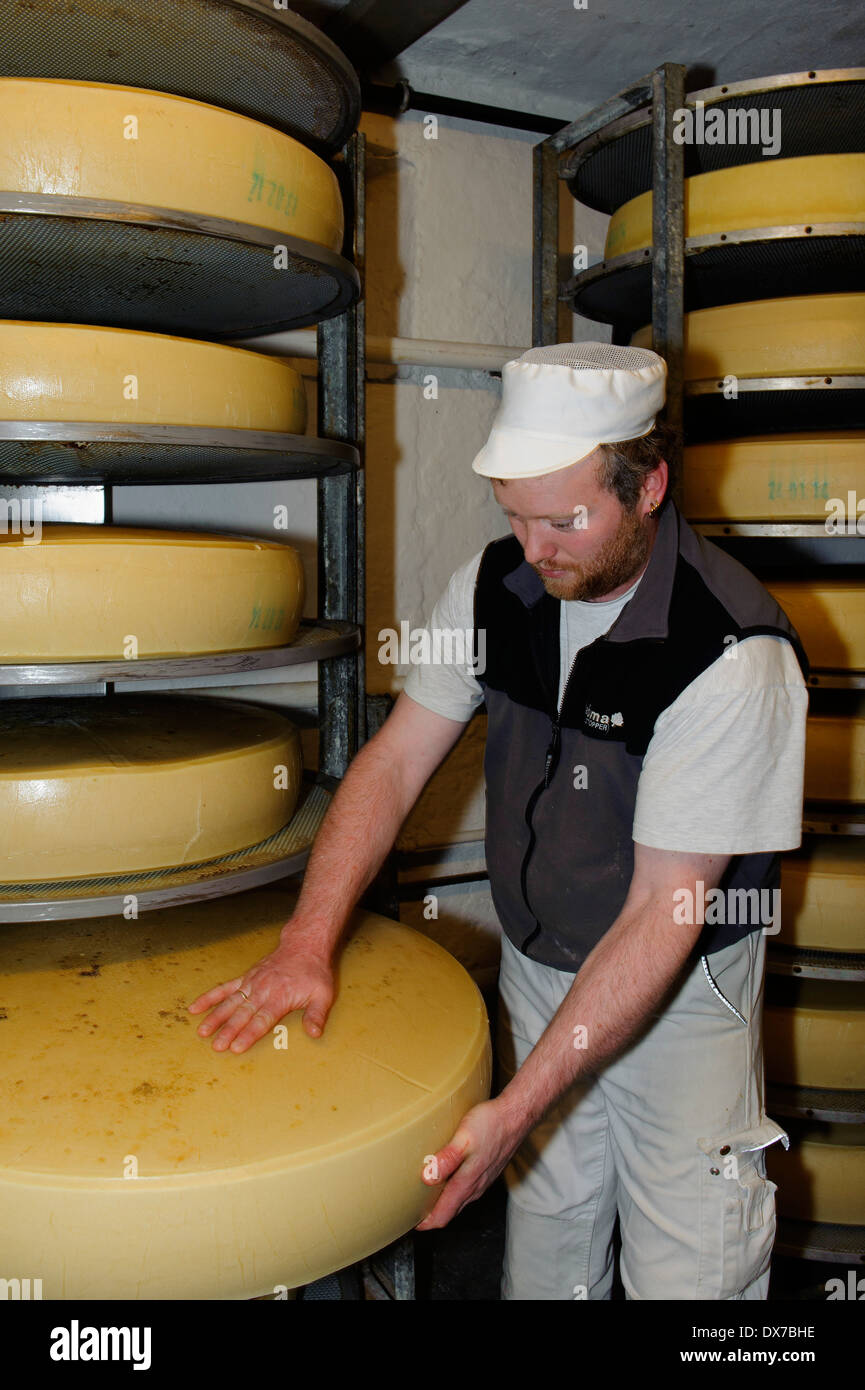 alpine dairy with Emmental cheese in Ofterschwang-Hüttenberg, Allgäu ...