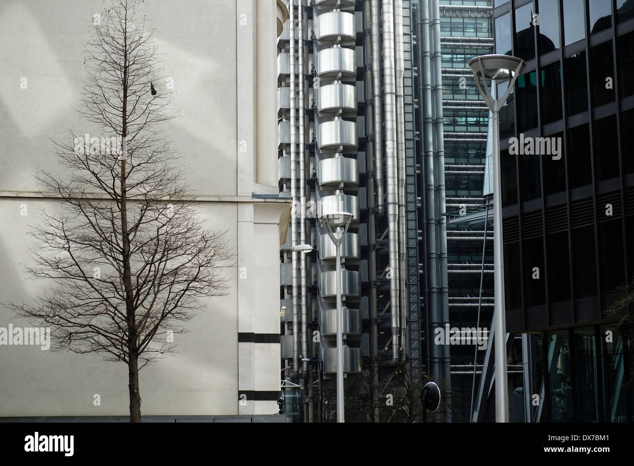 Tree in the City Stock Photo - Alamy