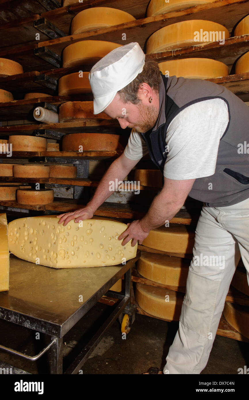 Emmental cheese hi-res stock photography and images - Alamy