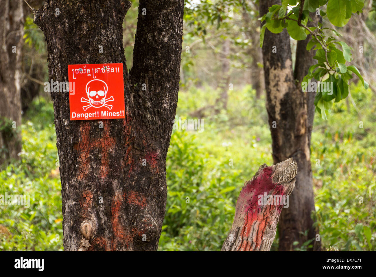 Red sign on a tree signaling the danger of mines in Cambodia, Cardamom ...
