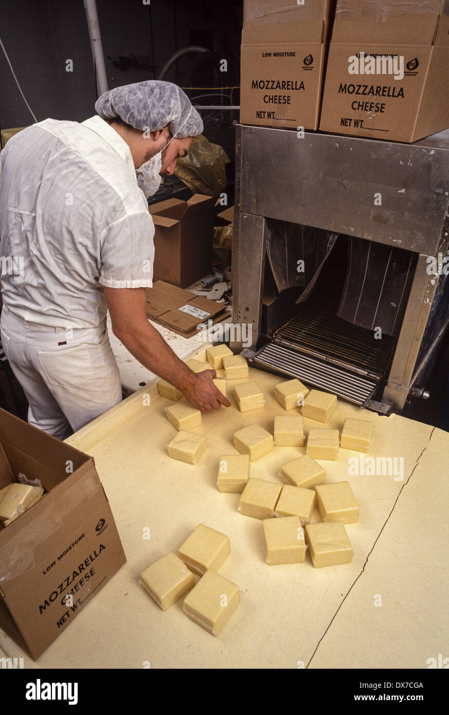 Packaging mozzarella cheese in dairy hi-res stock photography and ...