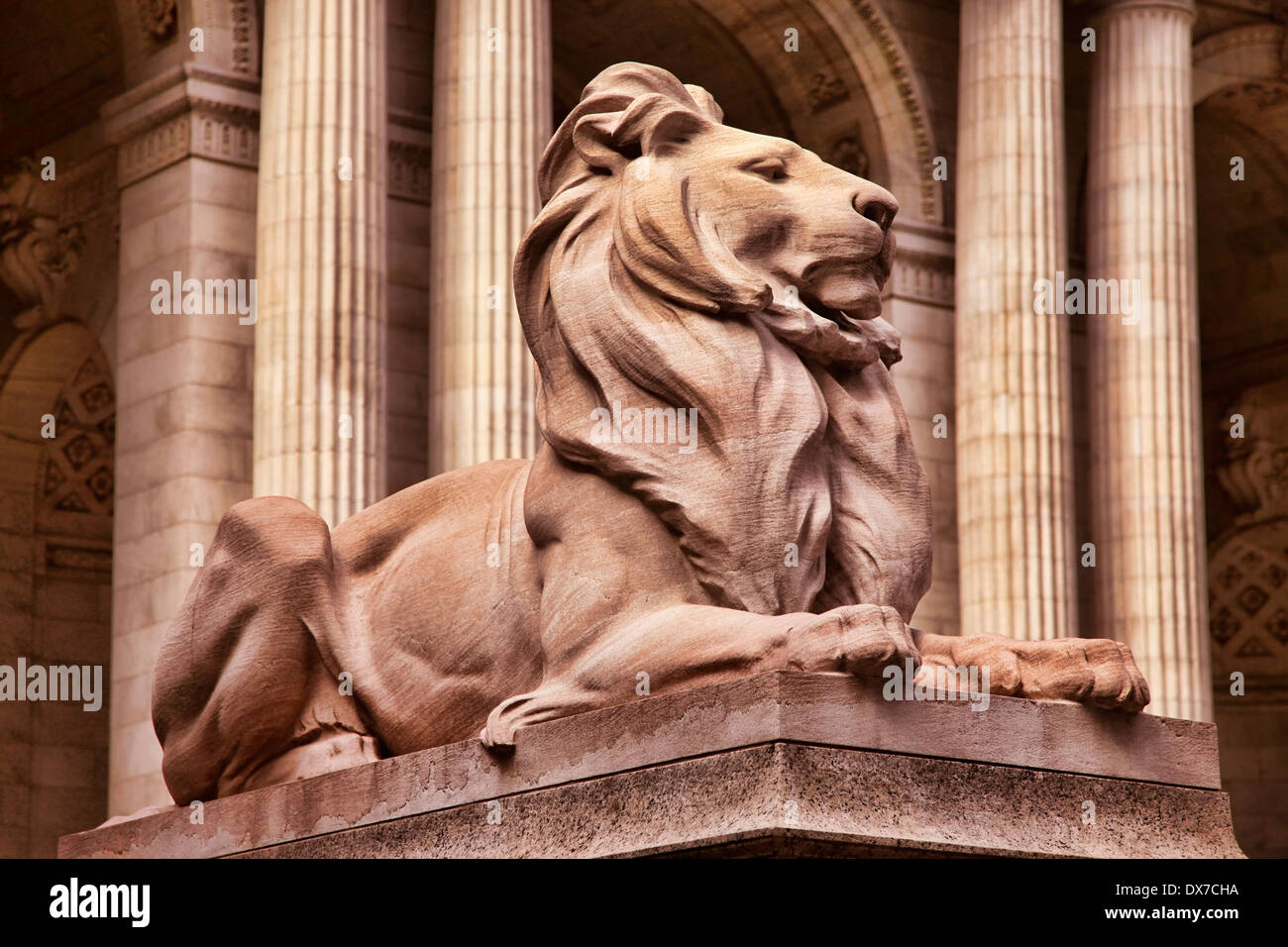 New York City Public Library Exterior with lion statue Stock Photo - Alamy