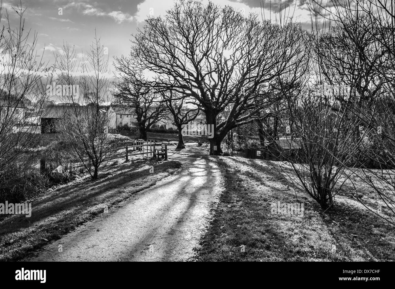 your path to glory Stock Photo - Alamy