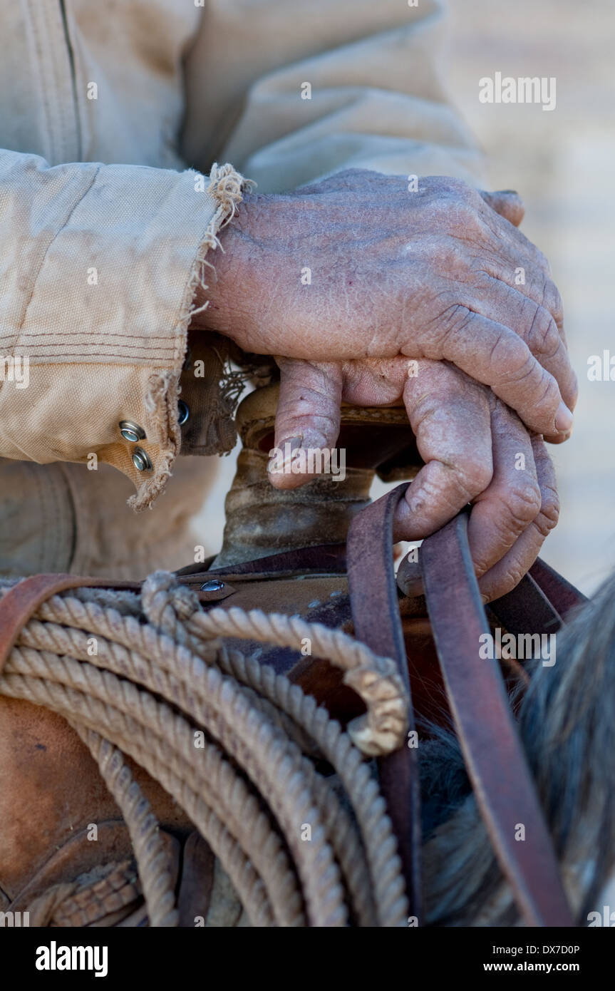 Old west cowboy hands up High Resolution Stock Photography and Images ...