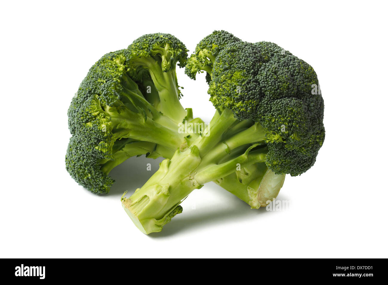 Two broccoli on white Stock Photo - Alamy