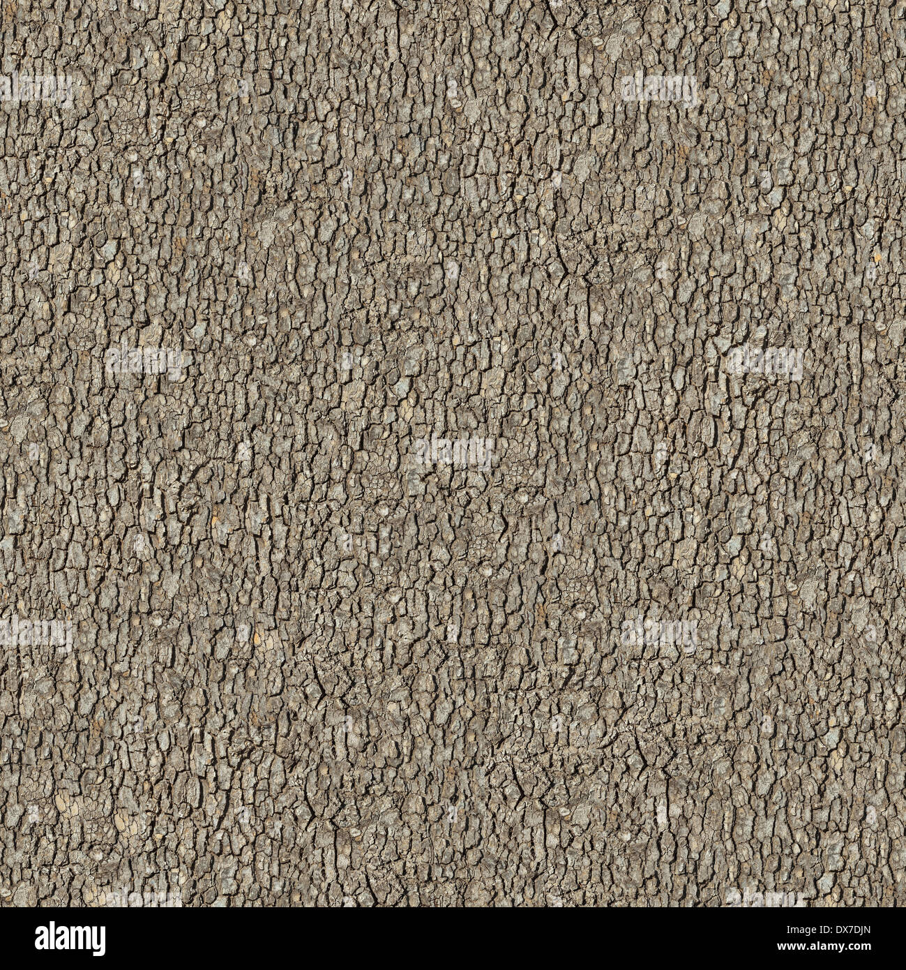 Seamless tileable texture hi-res stock photography and images - Alamy