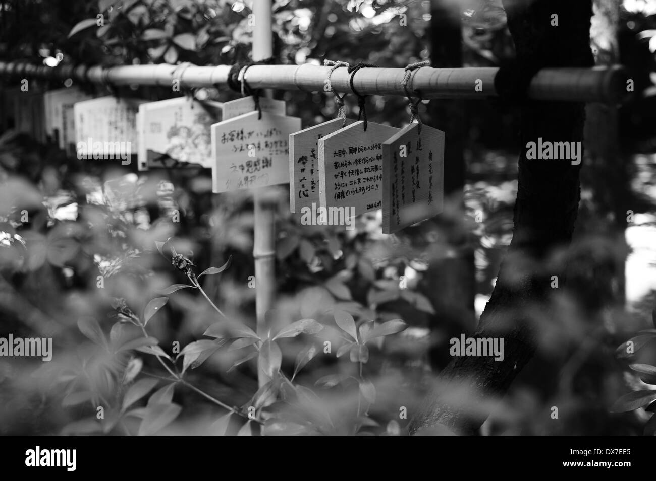 Ema Tablets At Hikawa Shrine, Tokyo, Japan Stock Photo - Alamy