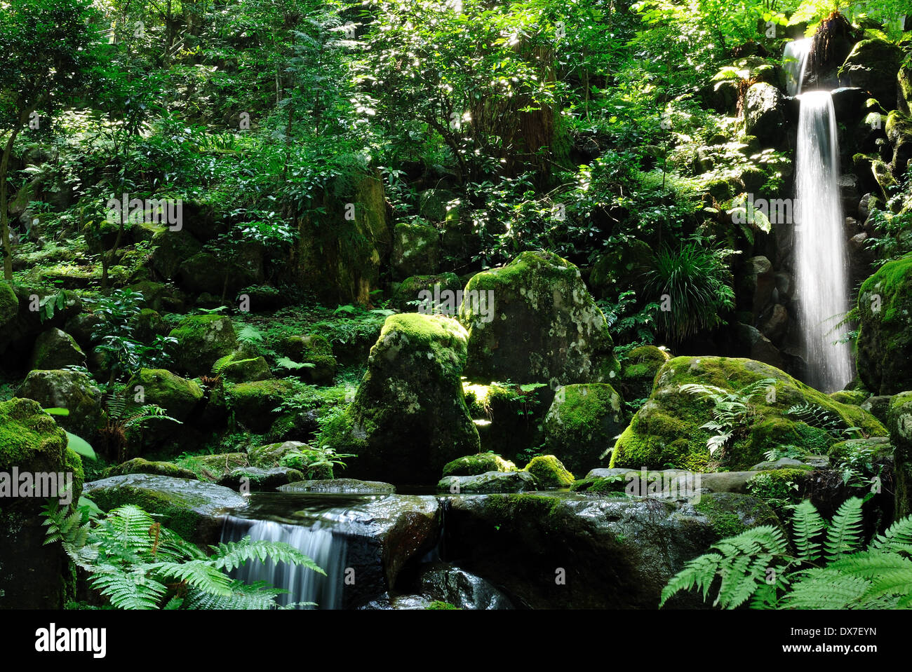 Water Stream Near Odawara, Kanagawa Prefecture, Japan Stock Photo - Alamy