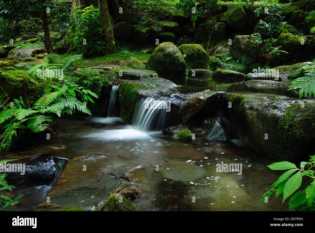 Water Stream Near Odawara, Kanagawa Prefecture, Japan Stock Photo - Alamy
