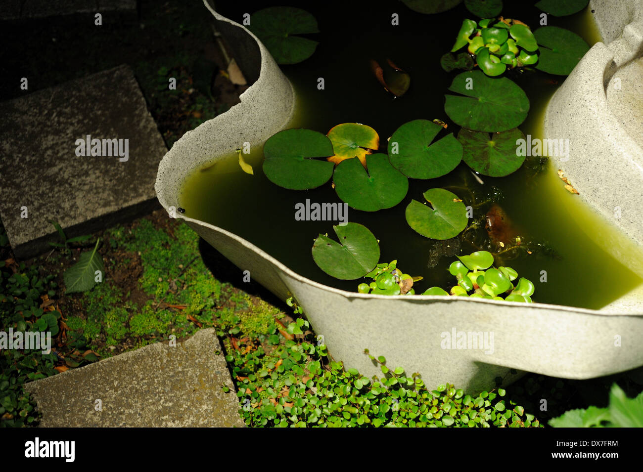 Japan water basin hi-res stock photography and images - Alamy