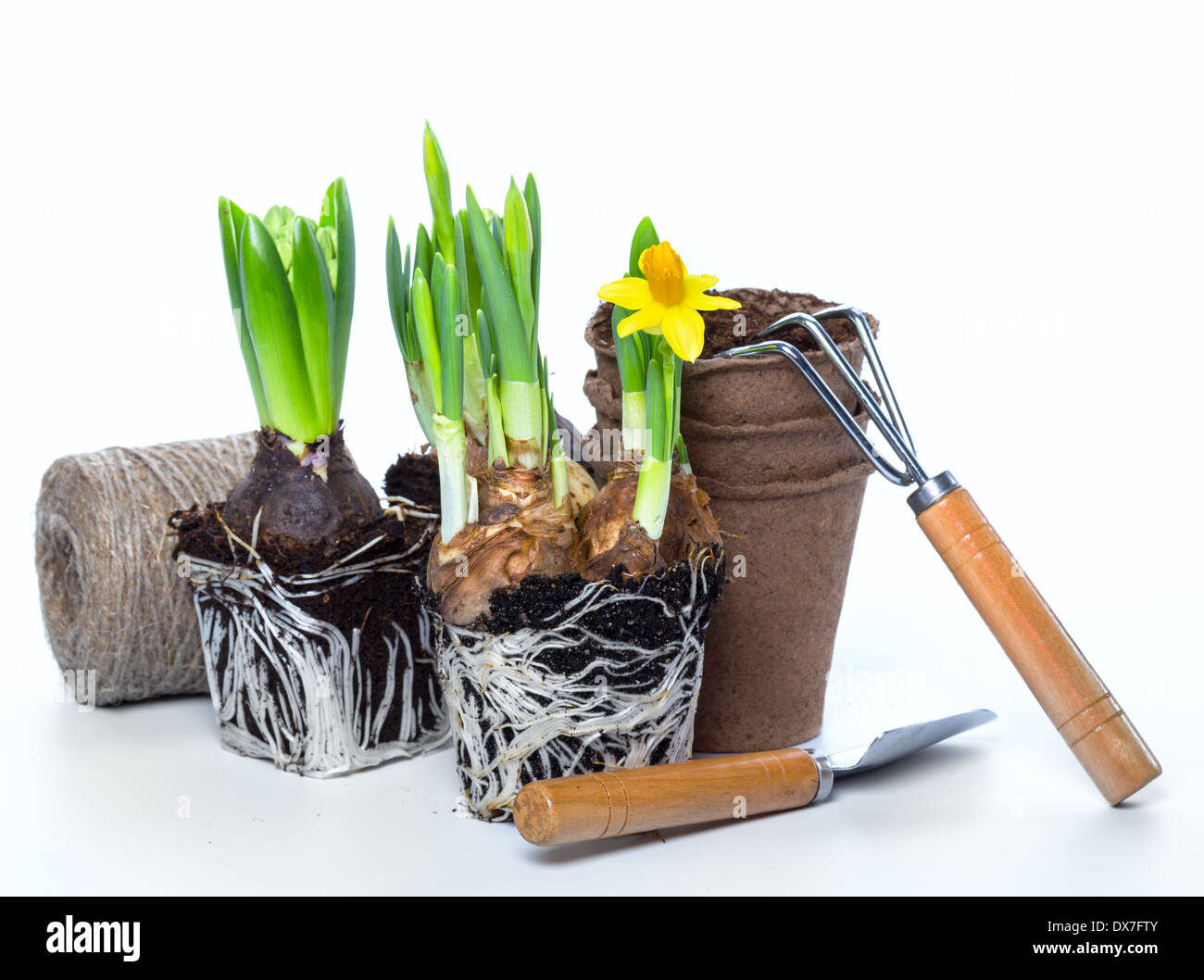 Gardening tools on background Stock Photo - Alamy